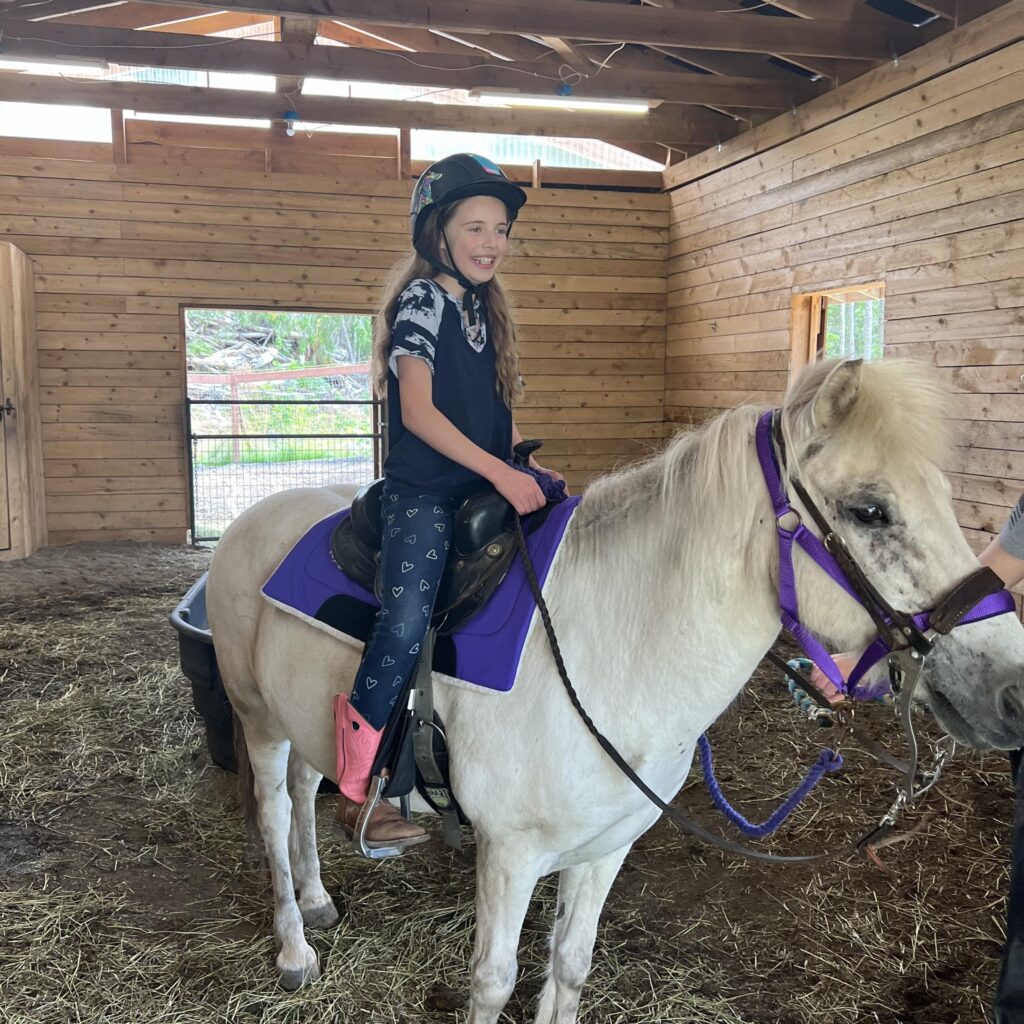 Triple S Ranch | Discover Prince Of Wales Island